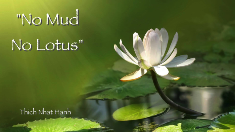 No Mud, No Lotus — Kathleen Hanagan
